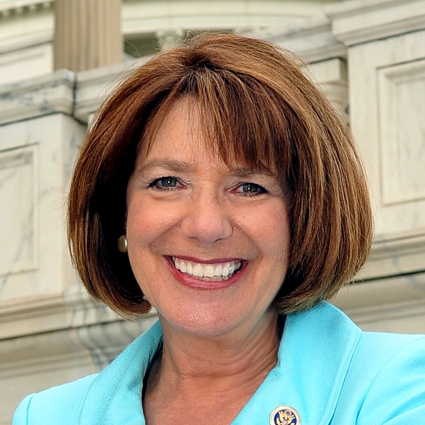 Bio Page - Susan Davis - PPBE Reform Commission